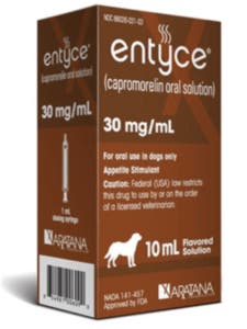 Capromorelin Oral Solution (Entyce®) for Dogs and Cats