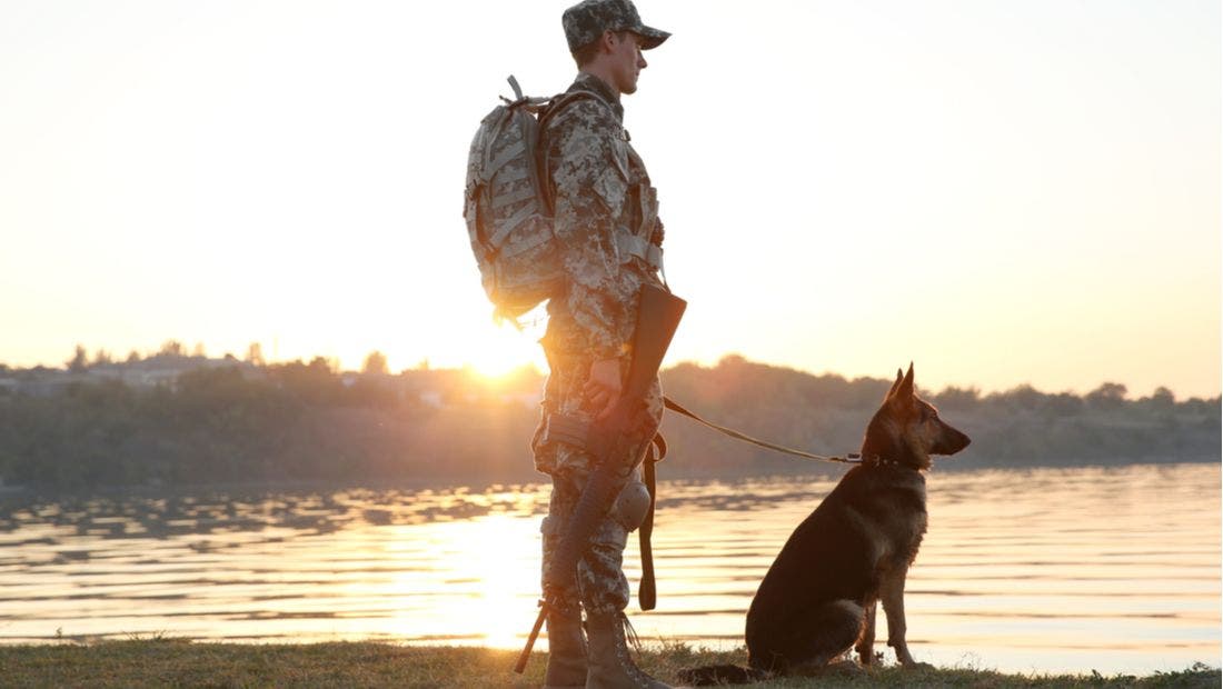 Serving Those Who Serve: How Wounded Warrior Dogs are Helping Veterans