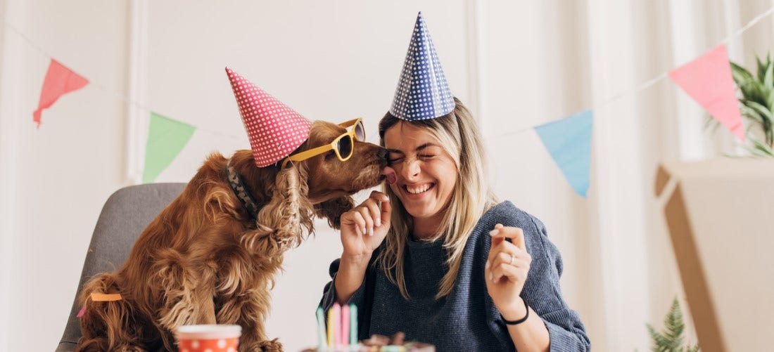Celebrate National Dog Party Day | PetPlace.com