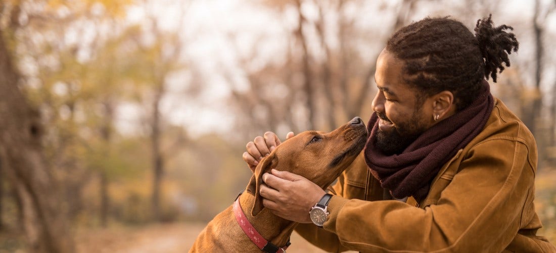 Ways Pets Help Their Humans | PetPlace.com