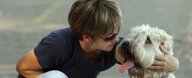 Things Dogs Can Teach Humans