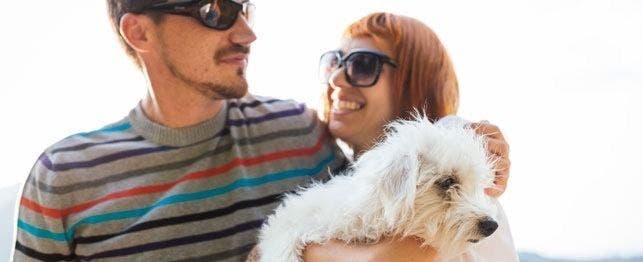 Multi-Tasking: 7 Tips for Working Couples to Successfully Raise a Puppy