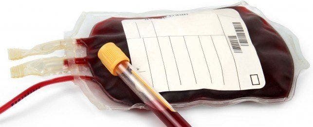 How Animal Blood Banks Can Save Your Dog