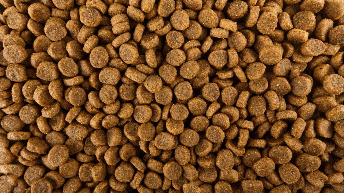 Natural and Organic Dog Food: A Comparison of the Major Brands - PetPlace