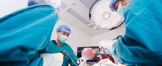 Tubal Ligation in Dogs