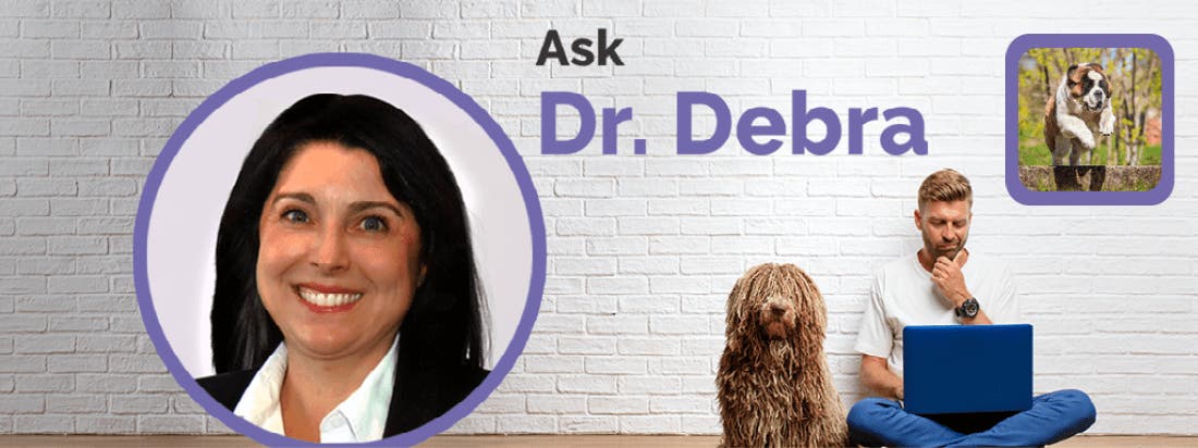 Ask Dr. Debra: When to Worry About Your Dog's Breathing - PetPlace