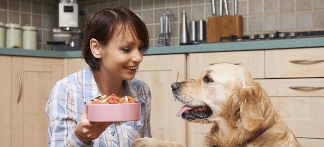 Dog Calorie Calculator: How to Calculate Your Dog’s Daily Calorie Needs ...