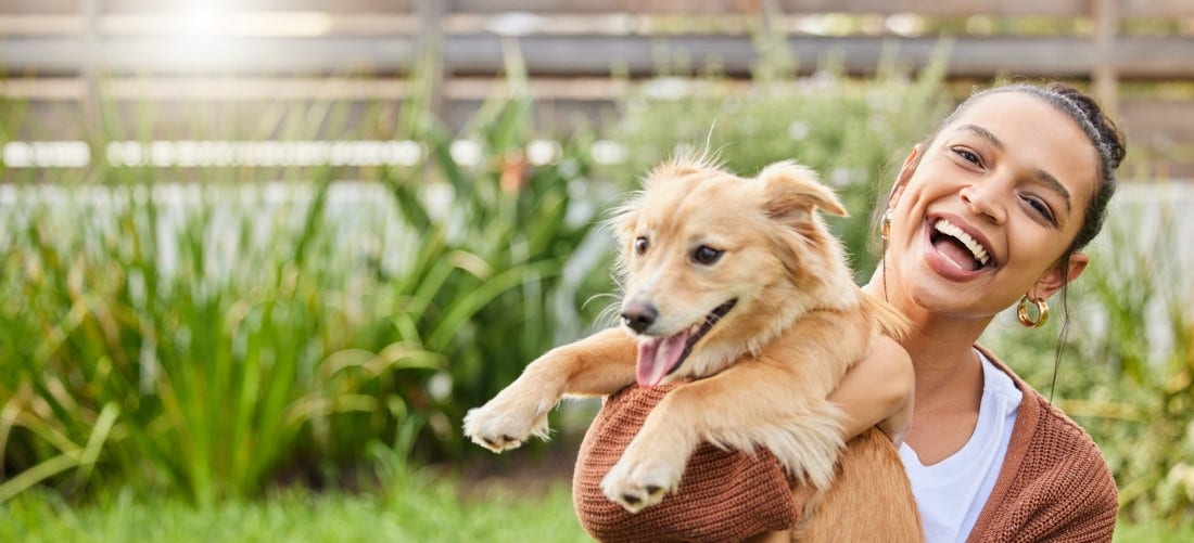 Top Pet Adoption Websites: Safely Adopt Dogs & Cats Online | PetPlace.com