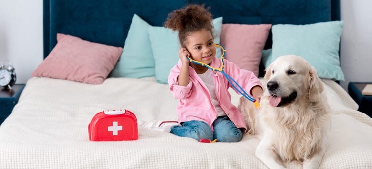 How to Make a Pet Emergency Kit | PetPlace.com