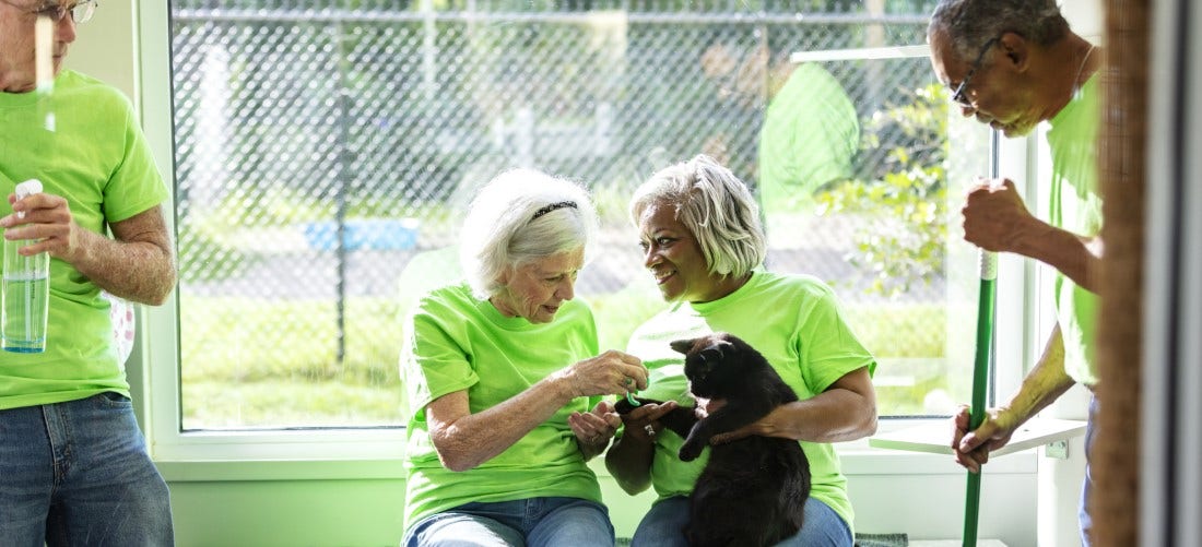 How to Support Animal Welfare on National Pet Day | PetPlace.com