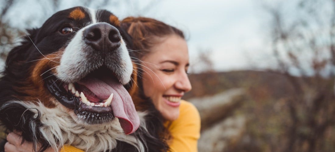 Why You Need a Lost Pet Membership | PetPlace.com