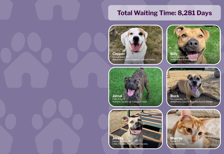 PetPlace: The Web's #1 Source of Pet Information