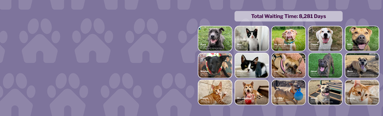 PetPlace: The Web's #1 Source of Pet Information