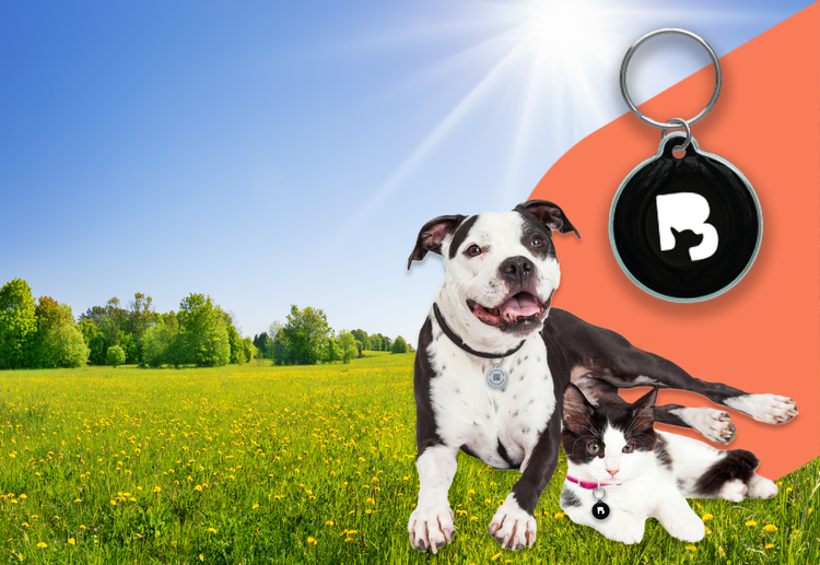 PetPlace: The Web's #1 Source of Pet Information