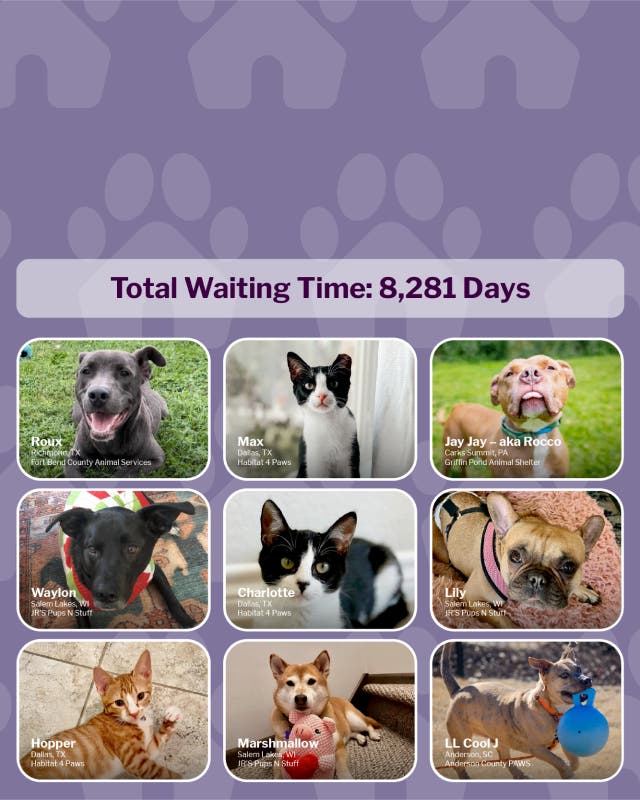 PetPlace: The Web's #1 Source of Pet Information