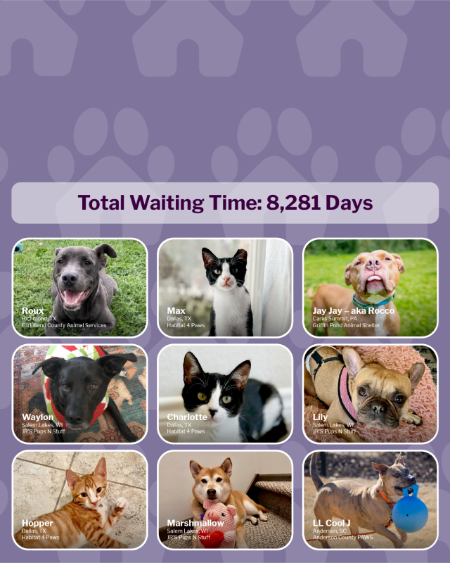 PetPlace: The Web's #1 Source of Pet Information