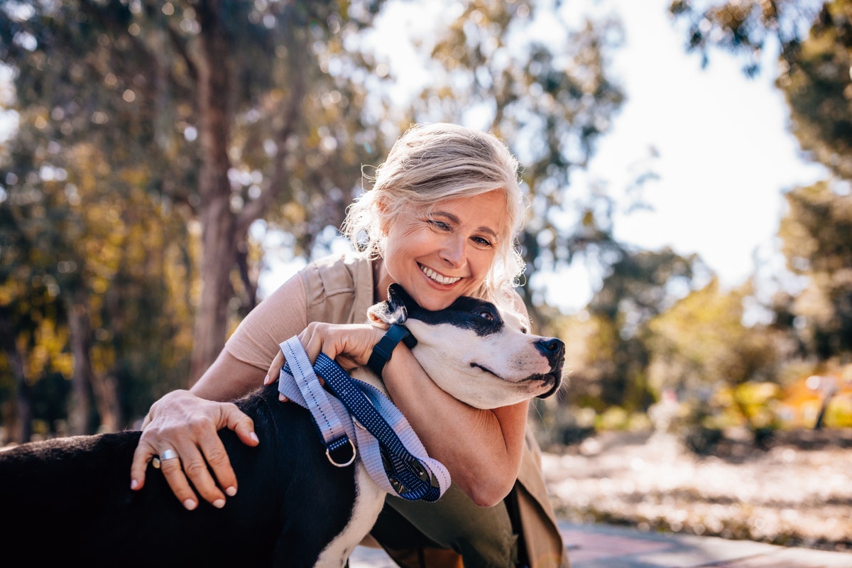 CareCredit Credit Card for Pets: How It Works & What to Use It For ...
