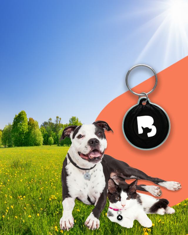 PetPlace: The Web's #1 Source of Pet Information